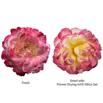 Floral - Supplies for Flower Drying and Arranging