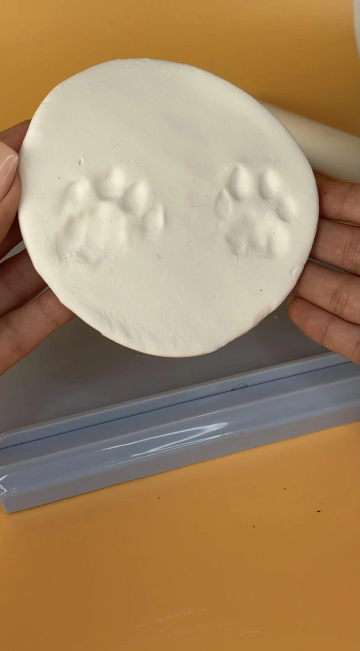 Pet Paw Print Shadow Box