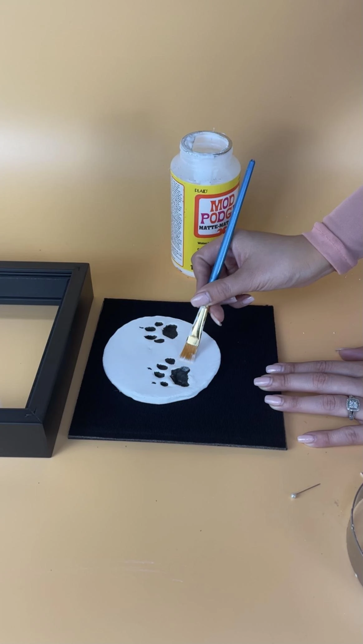 Pet Paw Print Shadow Box