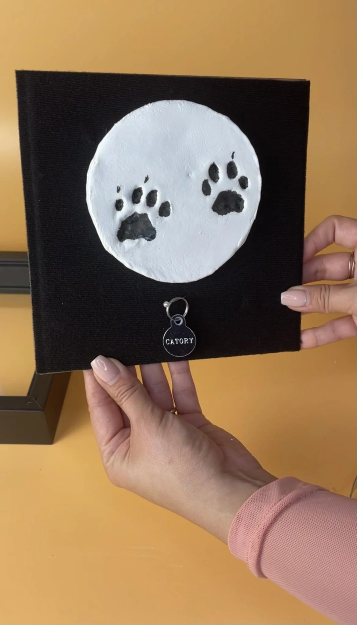 Pet Paw Print Shadow Box