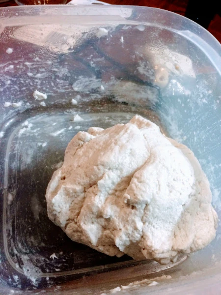 Sculpt a Friendly Turtle Planter with FastMâché Instant Paper Mache